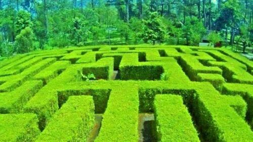 LABIRIN COBAN RONDO Tiket Masuk dan Aktivitas - Oktober 2025