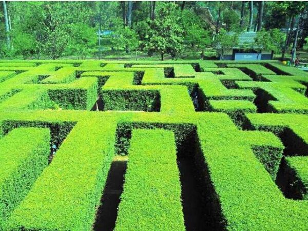 COBAN RONDO: Tiket, Suasana dan Wahana - Oktober 2025