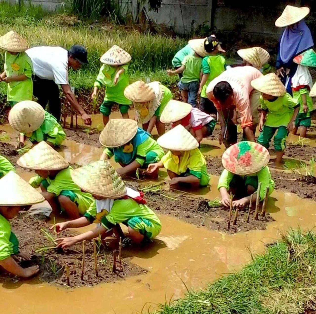 KUNTUM FARMFIELD BOGOR Tiket Masuk, Aktivitas dan Fasilitas May 2026