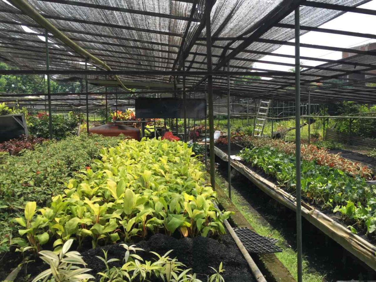 GODONG IJO Sawangan Tiket & Aktivitas - Oktober 2025