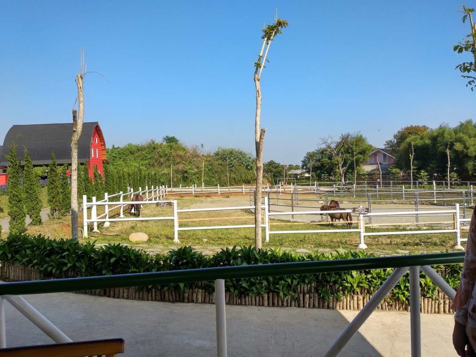 THE RANCH PUNCAK Tiket, Aktivitas & Lokasi - Agustus 2025