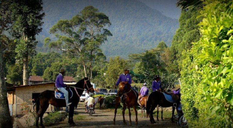 GUNUNG MAS PUNCAK Tiket Masuk, Aktivitas & Fasilitas - Oktober 2025