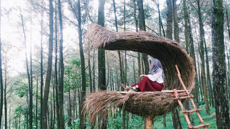 PUNCAK BECICI Jogja Tiket Masuk dan Aktivitas - Oktober 2025