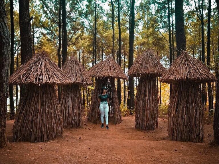 PUNCAK BECICI Jogja Tiket Masuk dan Aktivitas - Oktober 2025