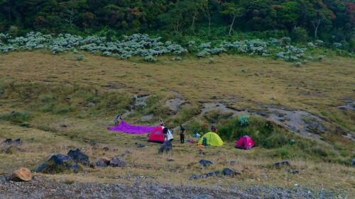 TN GUNUG GEDE Pangrango Tiket & Aktivitas