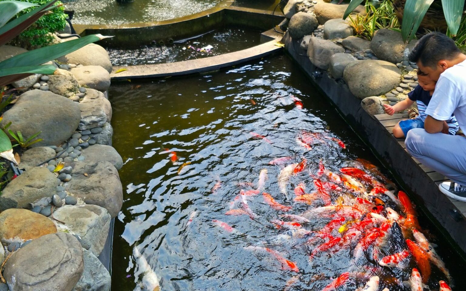 PETA PARK Tiket Masuk, Jam Buka dan Fasilitas - Oktober 2025