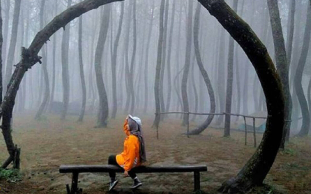 GUNUNG PUTRI LEMBANG Tiket, Aktivitas & Fasilitas - Oktober 2025