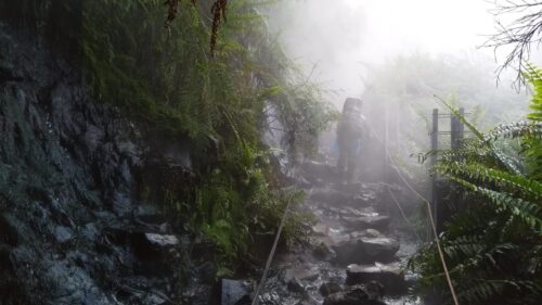 TN GUNUG GEDE Pangrango Tiket & Aktivitas