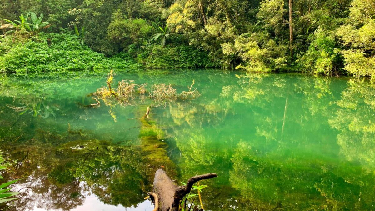 TN GUNUG GEDE Pangrango Tiket & Aktivitas