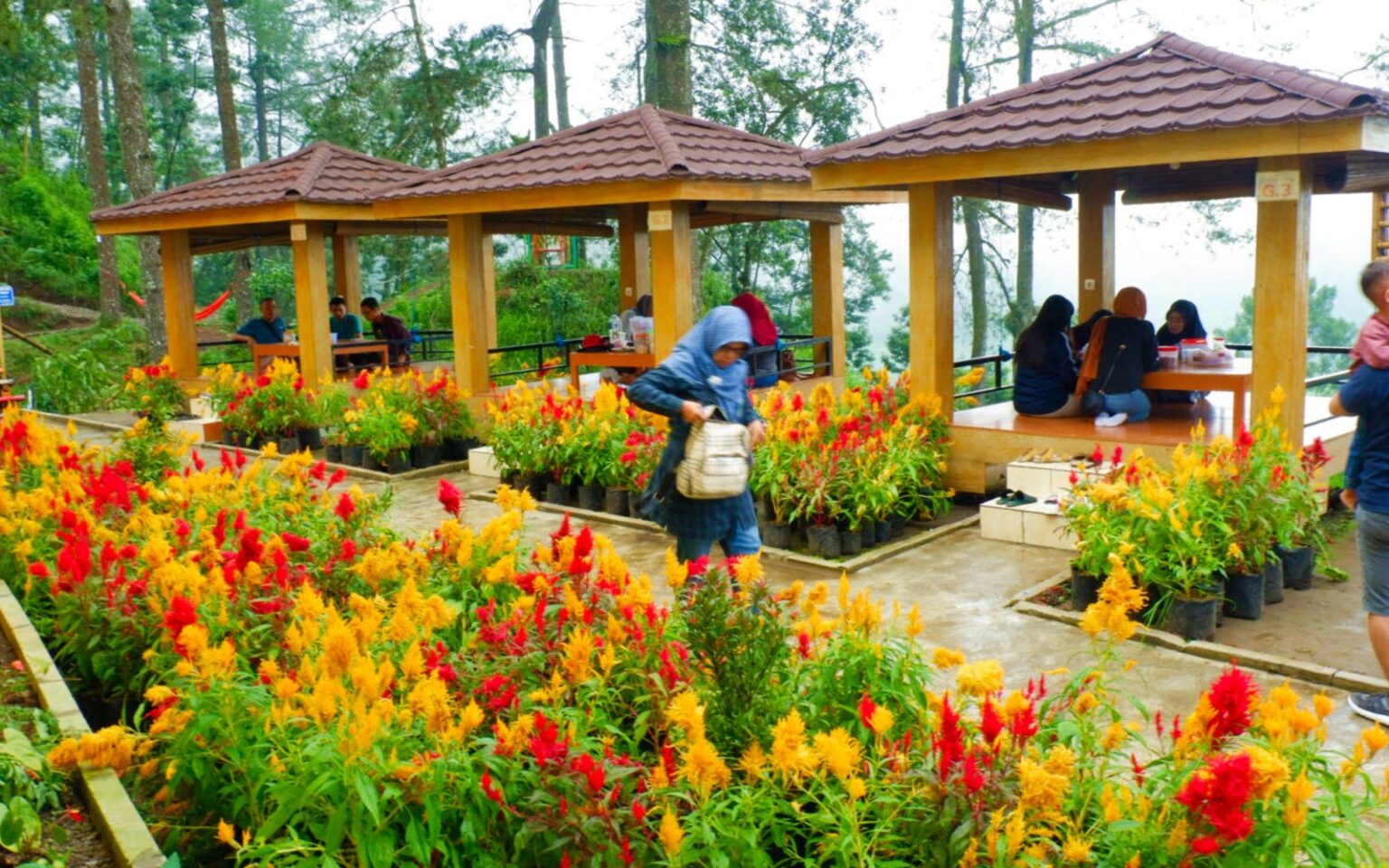 Lawu Park Tiket Masuk, Aktivitas dan Fasilitas - Agustus 2025