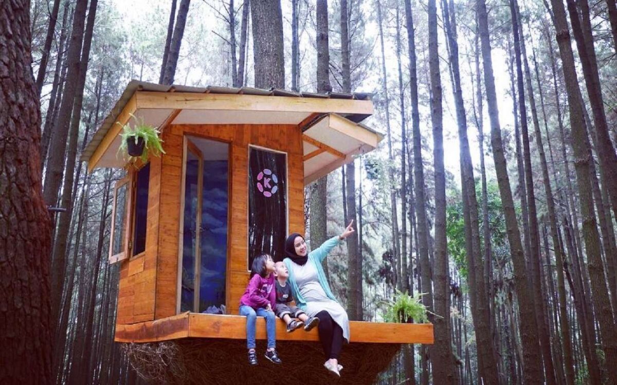 HUTAN PINUS SENTUL: Harga Tiket, Aktivitas & Fasilitas May 2026