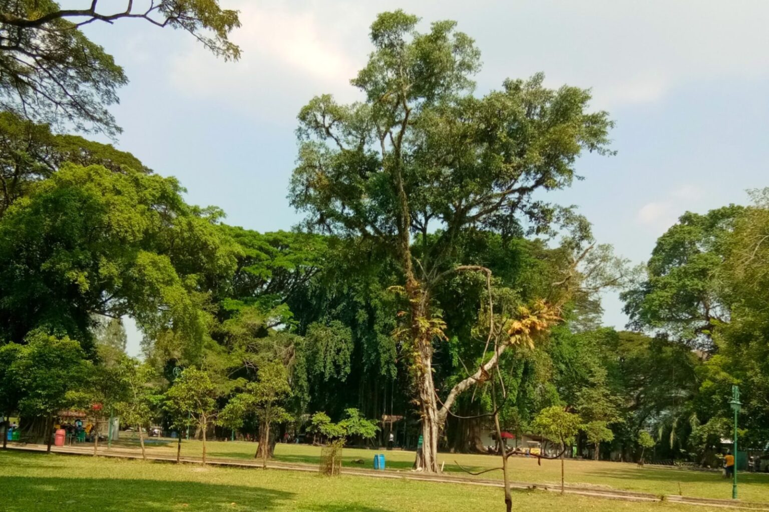 TAMAN BALEKAMBANG Solo Tiket & Atraksi