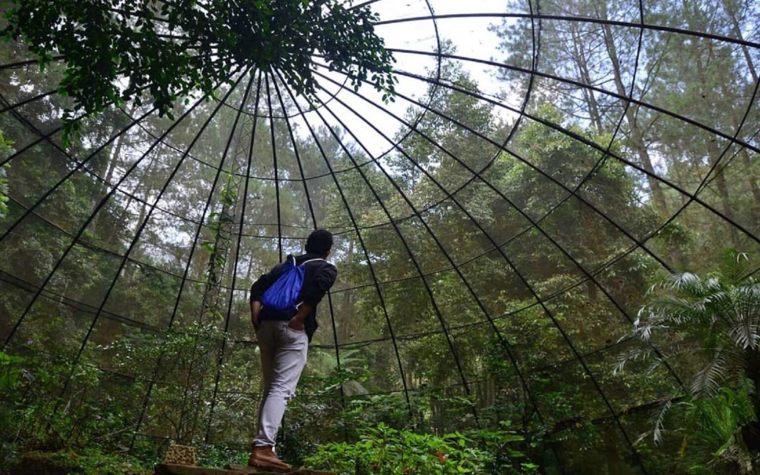 CURUG CILEMBER Tiket & Aktivitas Top - Desember 2025