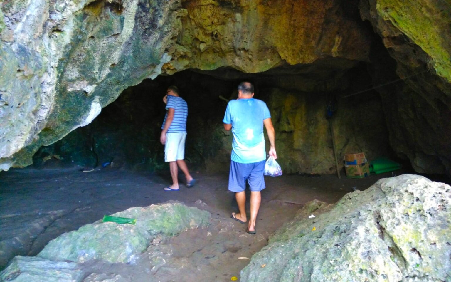 TN ALAS PURWO Tiket Masuk & Aktivitas - Agustus 2025