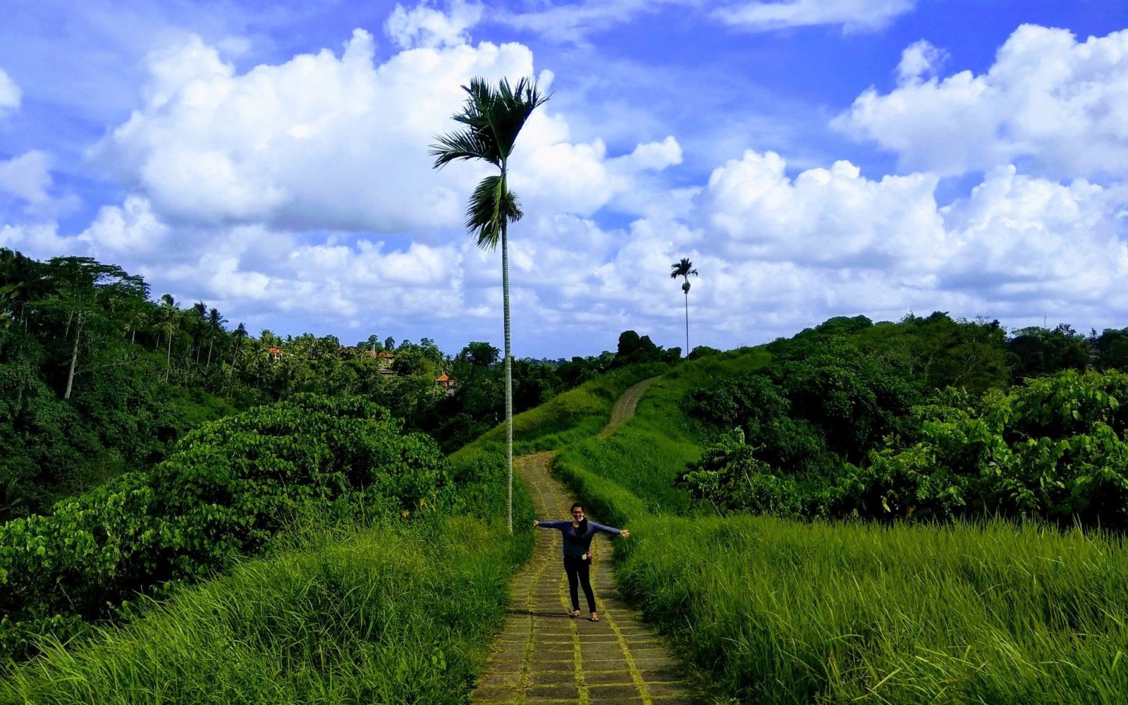 BUKIT CAMPUHAN Ubud, Area Trekking Menakjubkan Mei 2020 - TravelsPromo