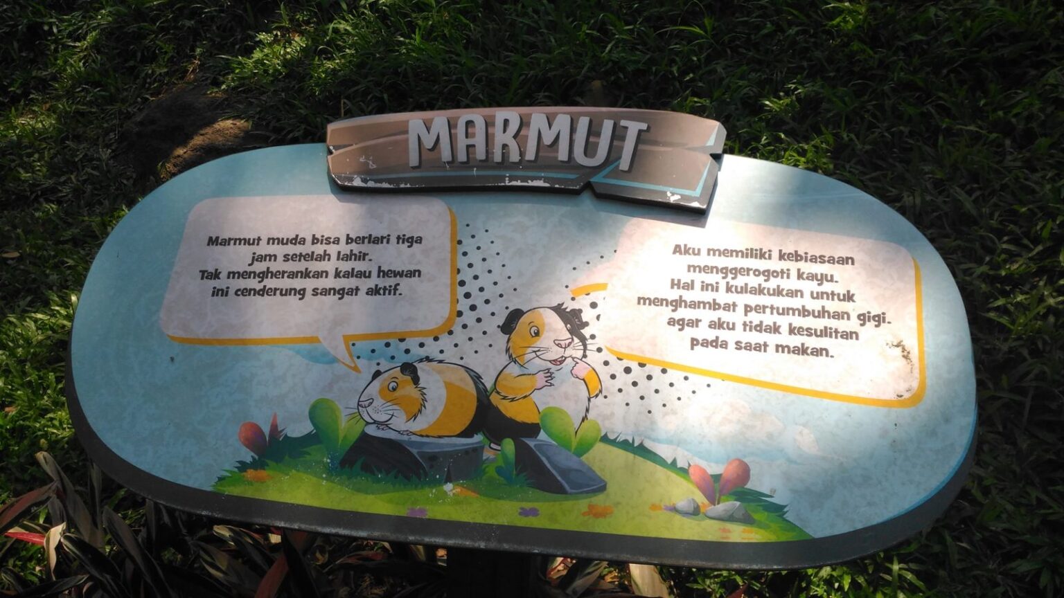 BOGOR MINI ZOO Tiket Masuk dan Aktivitas Mar 2026