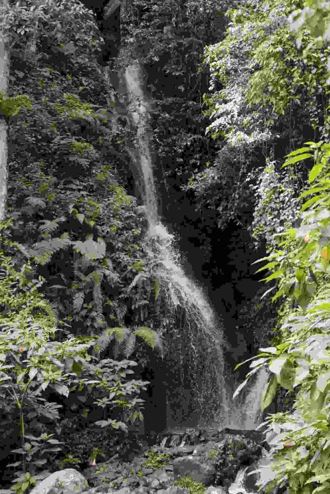 TAMAN SAKURA Wisata Alam Ala Jepang - November 2022