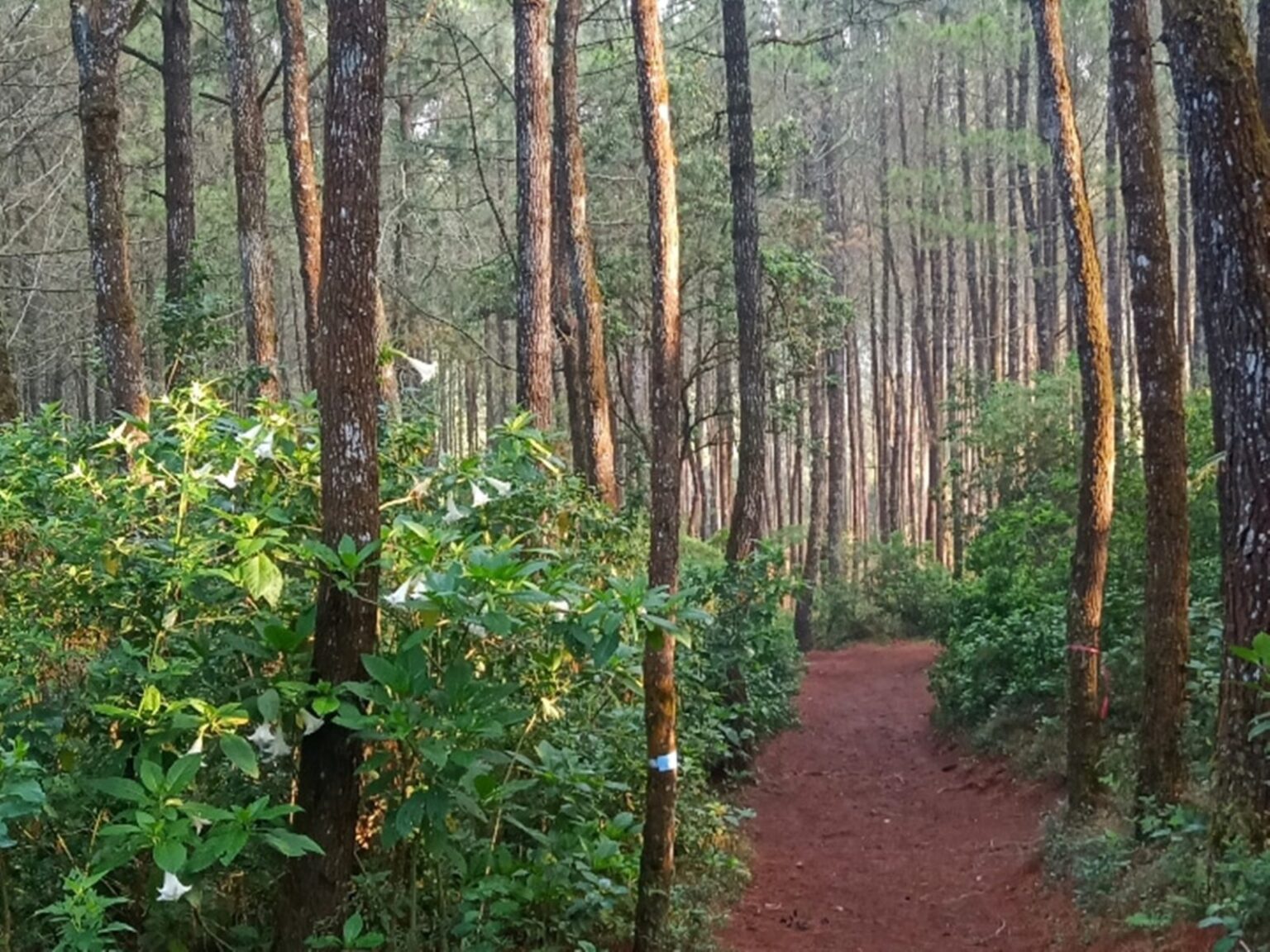 CURUG LAYUNG Tiket Masuk dan Aktivitas - September 2025