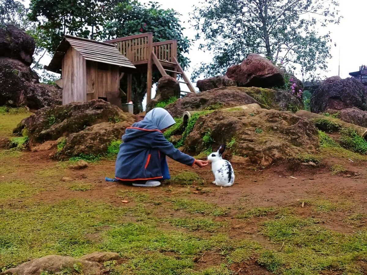 Pinisi Resto Situ Patenggang Tiket & Ragam Aktivitas