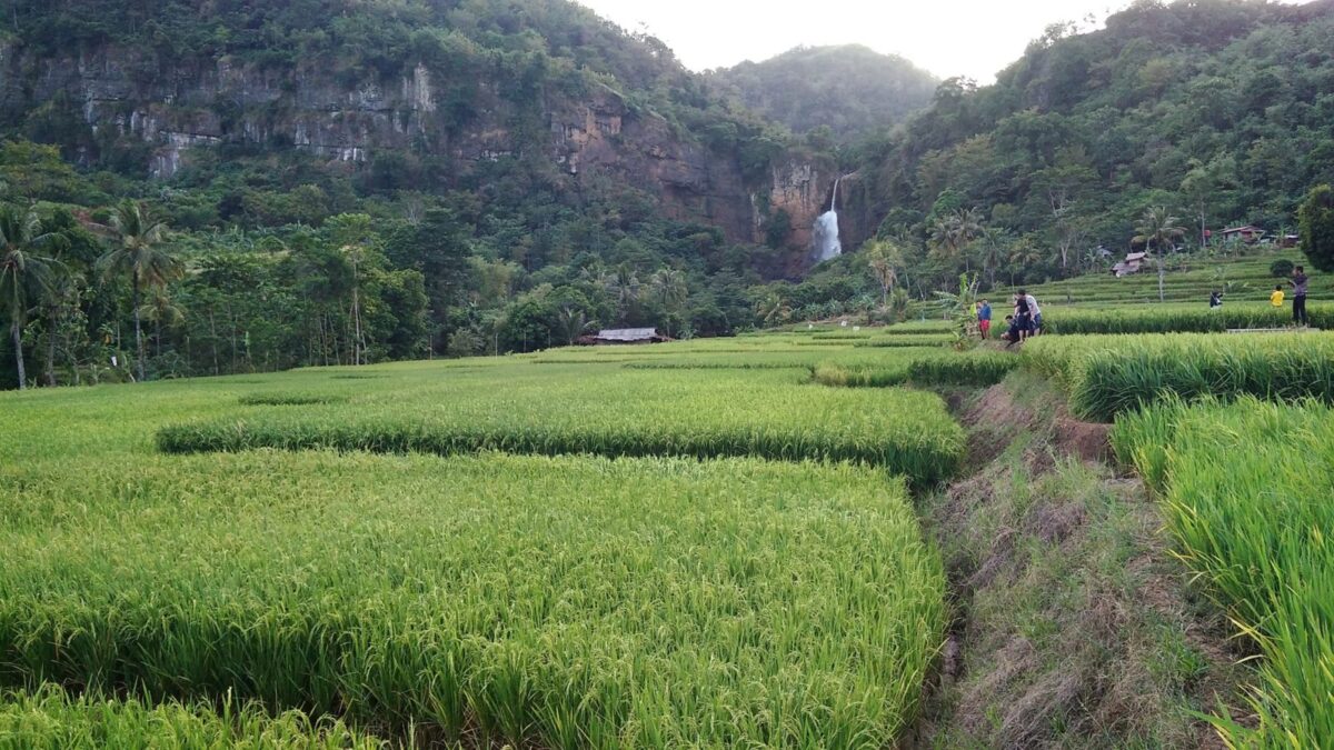 CURUG CIMARINJUNG Tiket, Jam Buka dan Daya Tarik - Oktober 2025