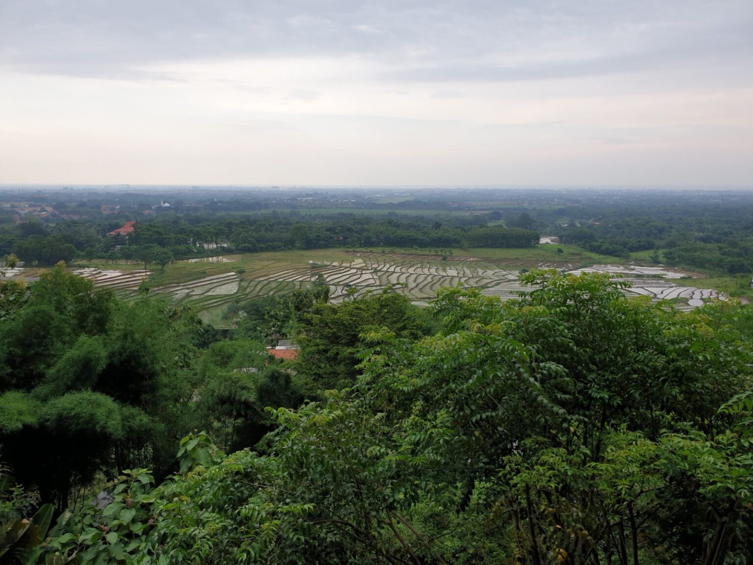 BUKIT GRONGGONG Menikmati Cirebon Dari Ketinggian Juni 2026