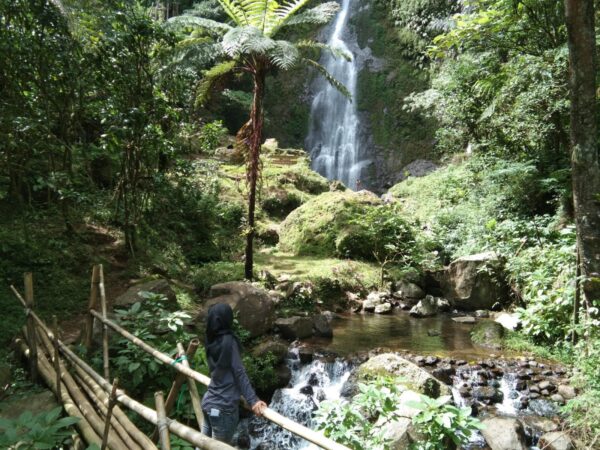 CURUG CIBAREUBEUY Tiket Masuk, Pesona, Fasilitas dan Akses Apr 2026