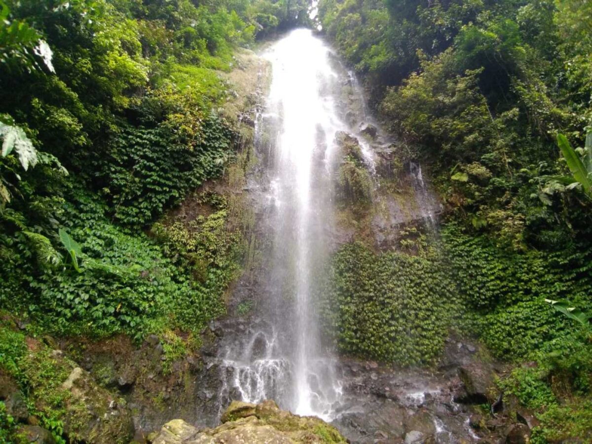 CURUG CILEAT Harga Tiket Masuk dan Daya Tarik - Oktober 2025