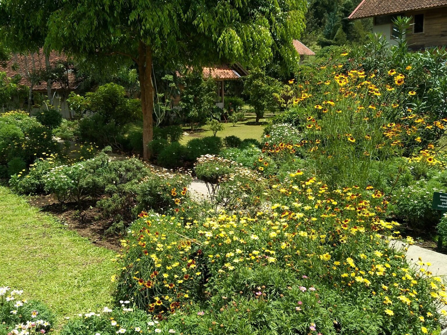 KEBUN MAWAR SITUHAPA Tiket & Daya Tarik Jan 2026