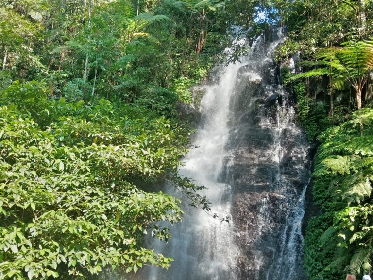 CURUG CIPURUT Harga Tiket Masuk & Aktivitas - Oktober 2025