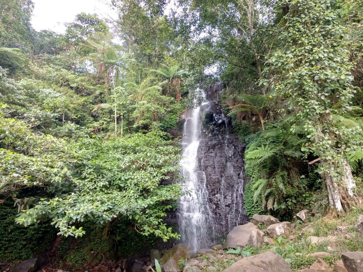 CURUG CIPURUT Harga Tiket Masuk & Aktivitas - Oktober 2025