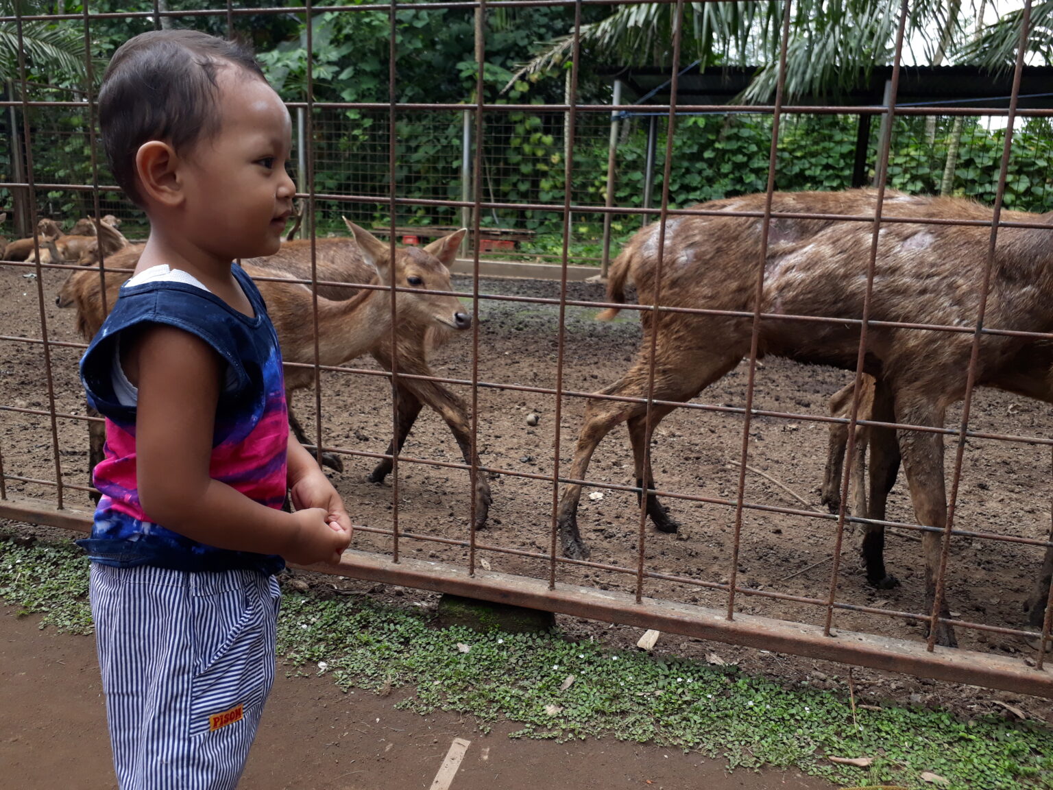 TAMAN SUPER GALAXY Jember: Tiket dan Daya Tarik - Desember 2024