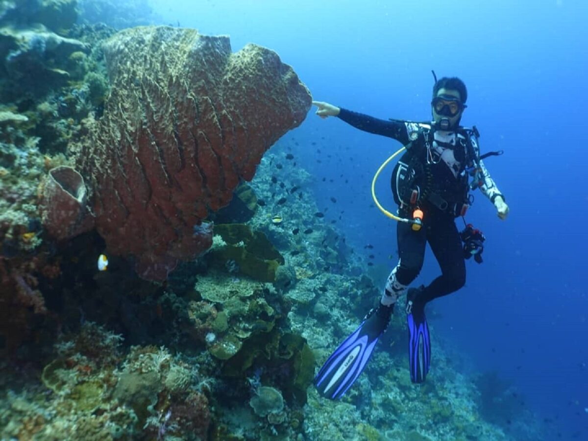 TAMAN NASIONAL BUNAKEN Tiket Masuk dan Aktivitas Juni 2026
