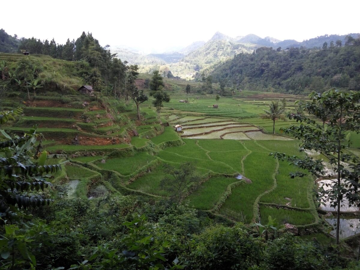 CURUG PENGANTIN Tegal Tiket & Pesona Alam - Juli 2025 CURUG PENGANTIN Tegal Tiket & Pesona Alam - Juli 2025