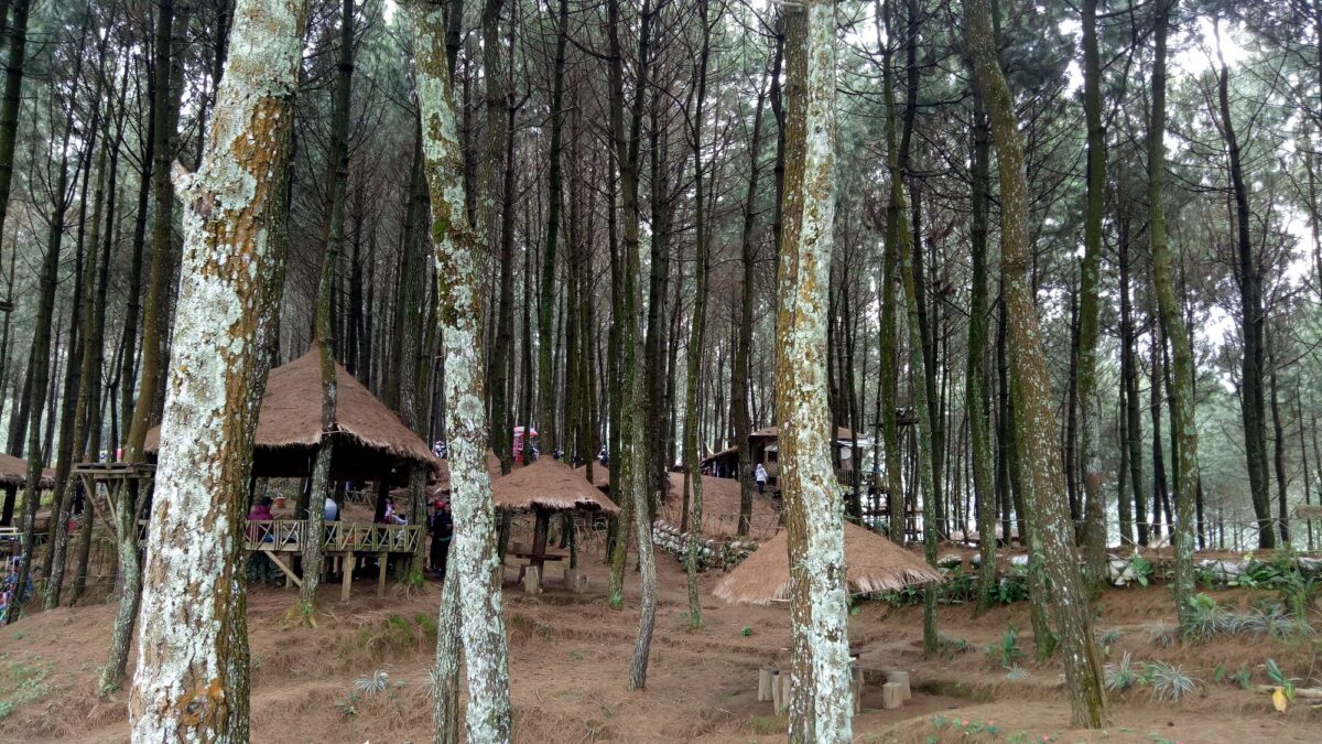 BUKIT SENYUM Bandung Tiket & Daya Tarik Apr 2026