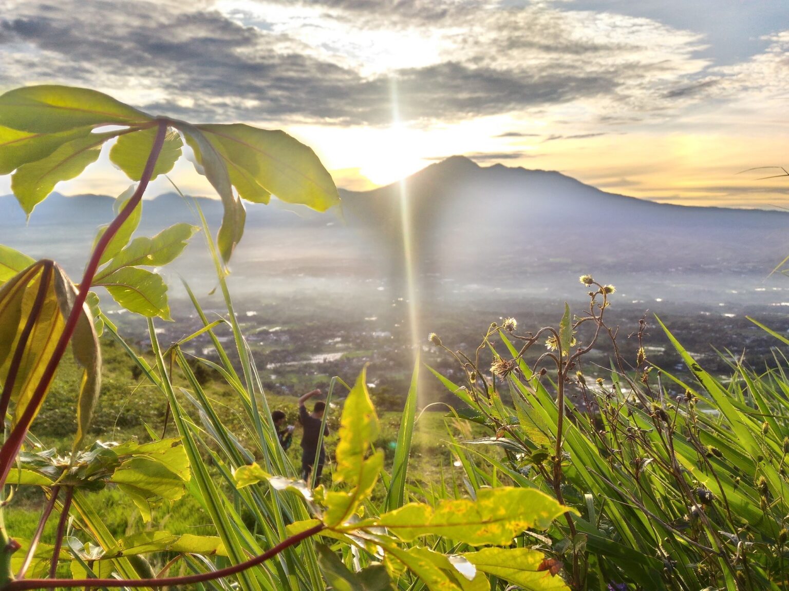 BUKIT ALESANO Tiket Masuk & Aktivitas