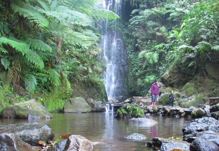 CURUG SADIM Tiket & Daya Tarik - September 2025