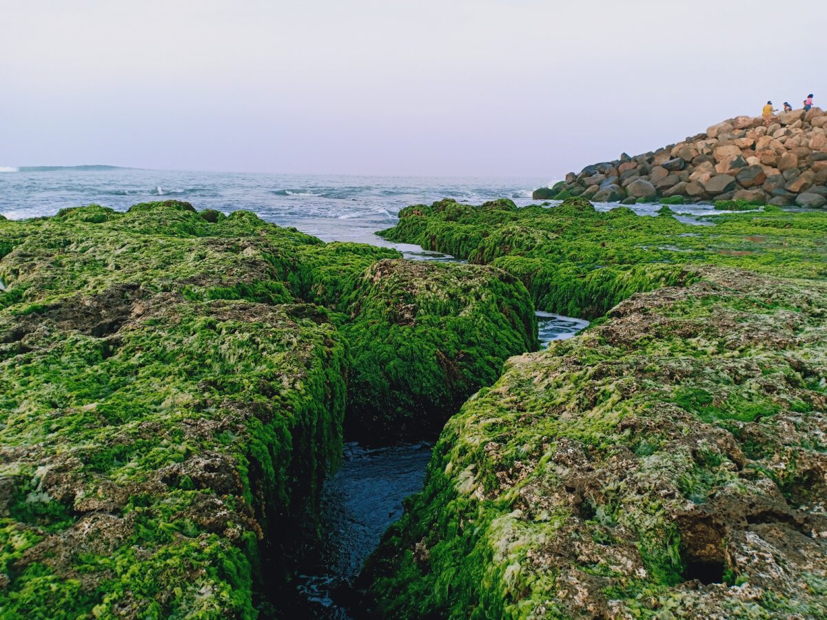 PANTAI RANCABUAYA Tiket dan Daya Tarik - November 2025