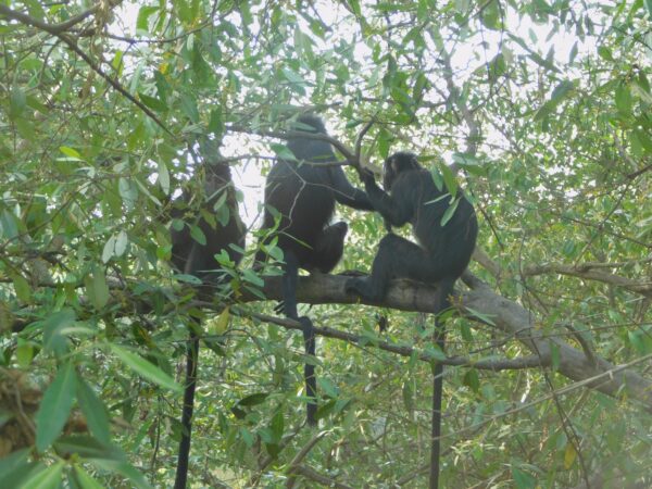 PANTAI MUARA GEMBONG Tiket dan Aktivitas - Oktober 2025