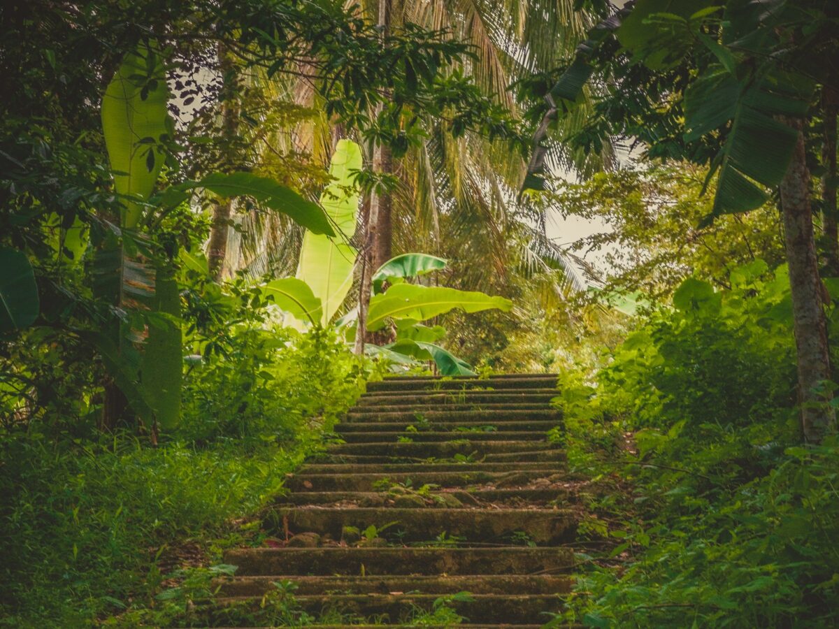 CURUG MANDALA Cilacap: Tiket & Ragam Pesona - September 2025