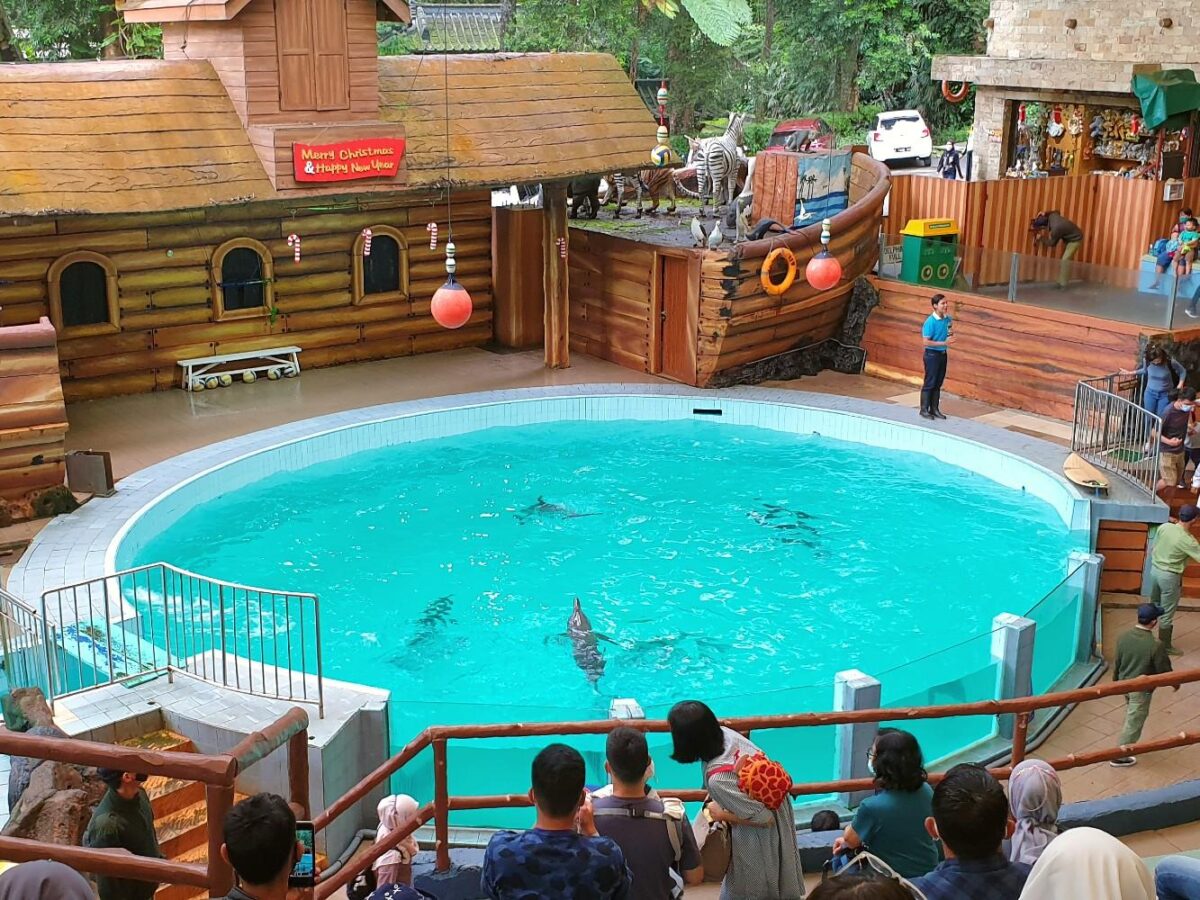 9 Wahana Ini Bikin Betah di Taman Safari Cisarua