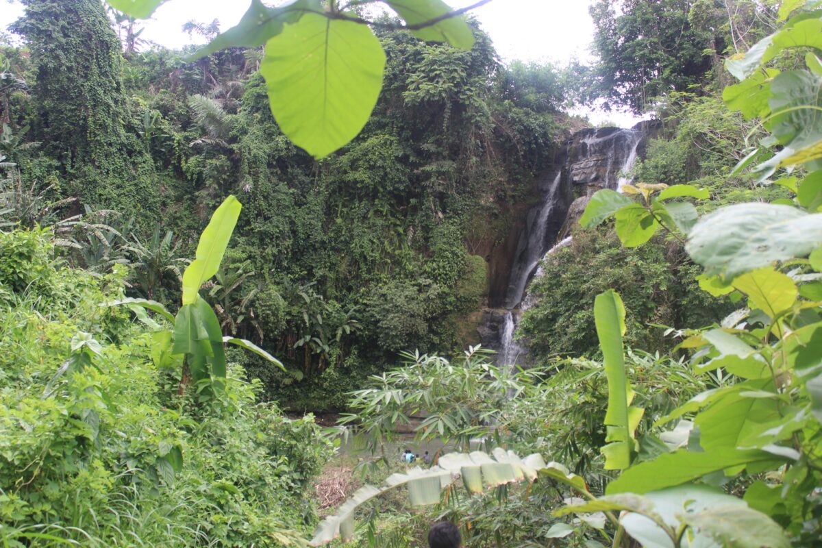 CURUG MANDALA Cilacap: Tiket & Ragam Pesona - September 2025