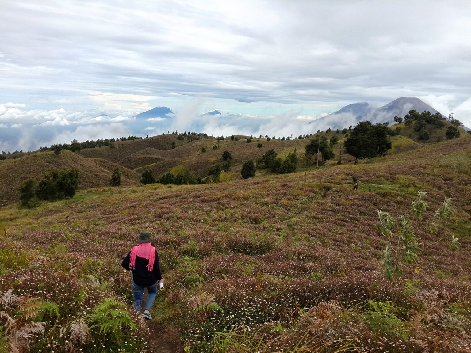 Gunung Prau Harga Tiket Masuk dan 5 Jalur Pendakian