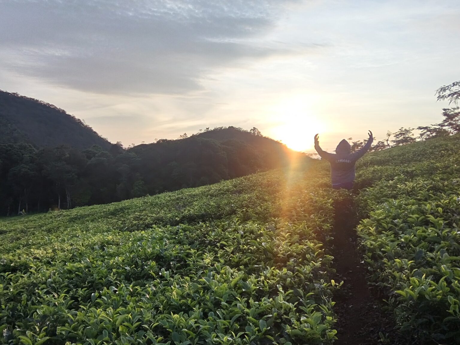 GUNUNG UNGARAN: Tiket Masuk & 4 Jalur Pendakian - Oktober 2025