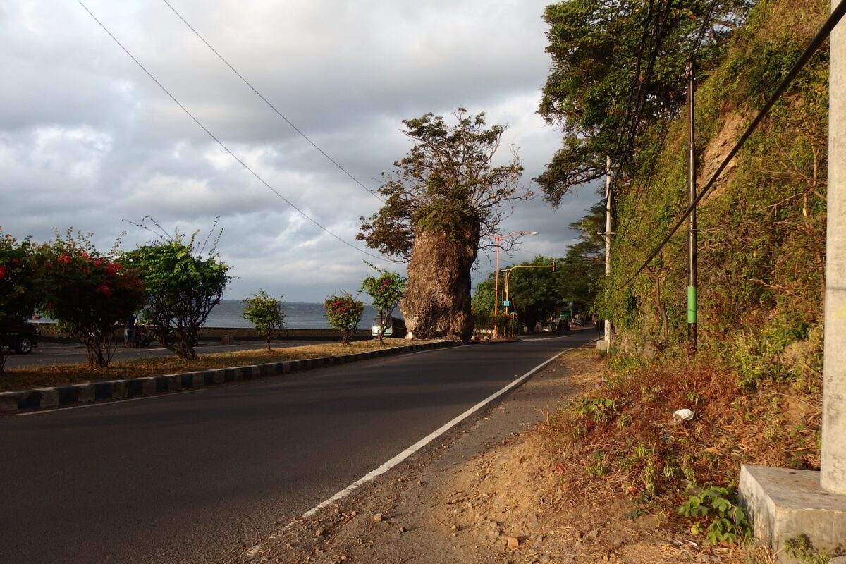 WATU DODOL Wisata Tepi Laut Nan Murah - September 2025