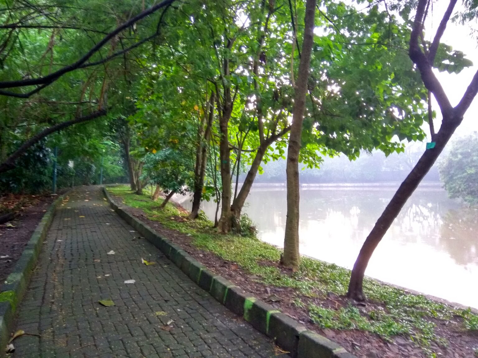 HUTAN KOTA SRENGSENG Tiket & Daya Tarik May 2026