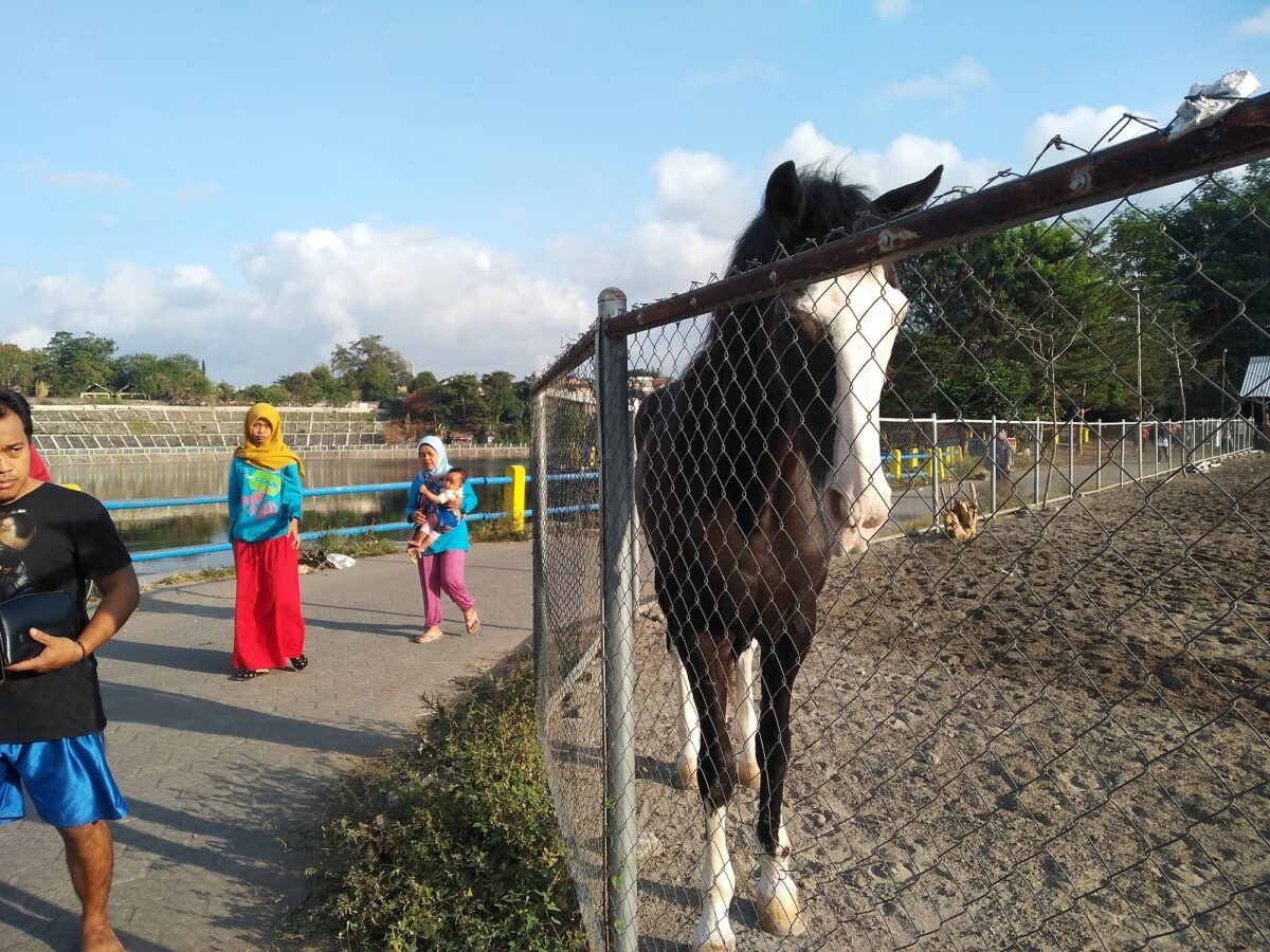EMBUNG TAMBAKBOYO Harga Tiket, Jam Buka & Daya Tarik - September 2025