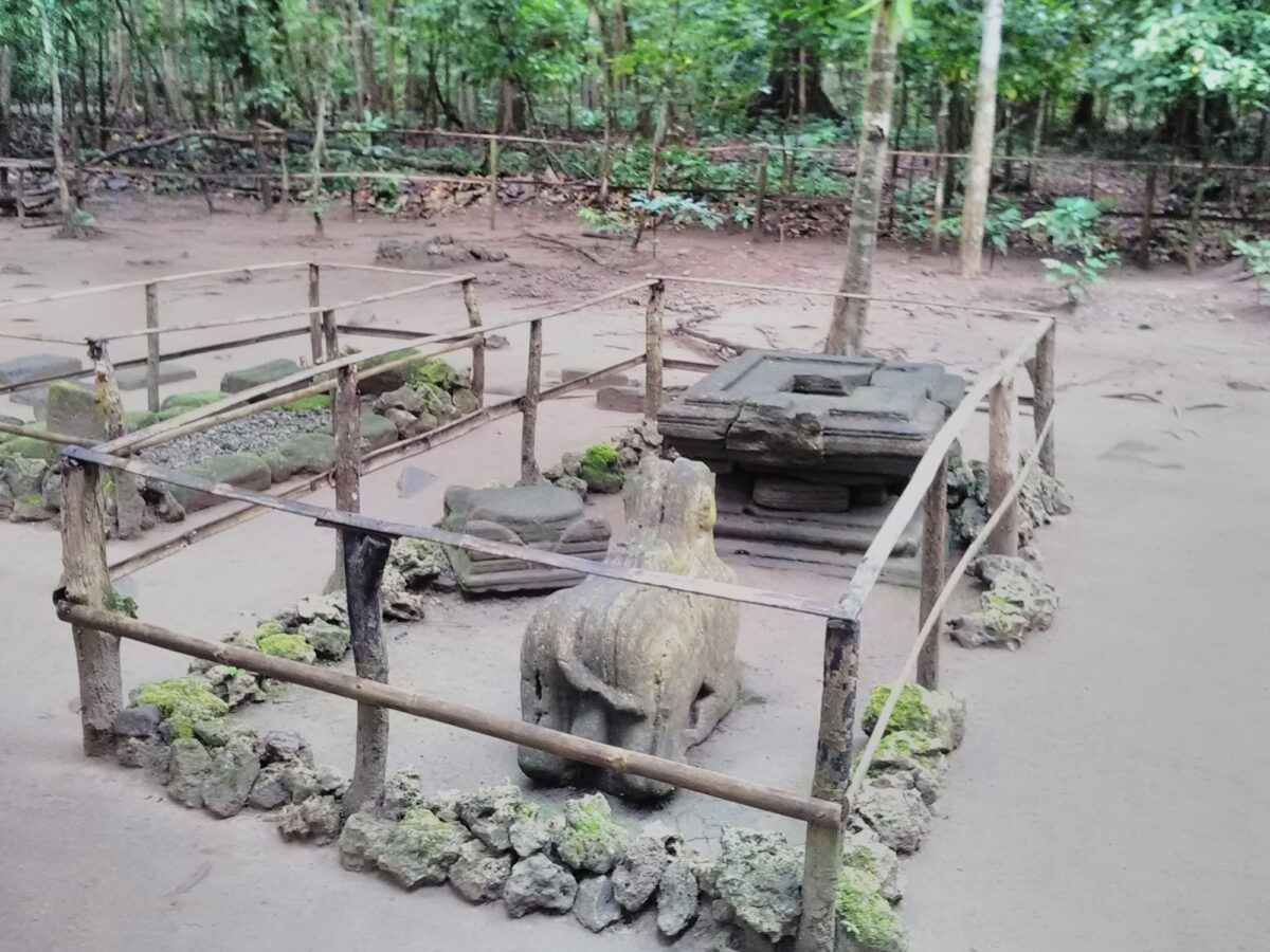 CAGAR ALAM PANGANDARAN Tiket & Keunikan - Desember 2025