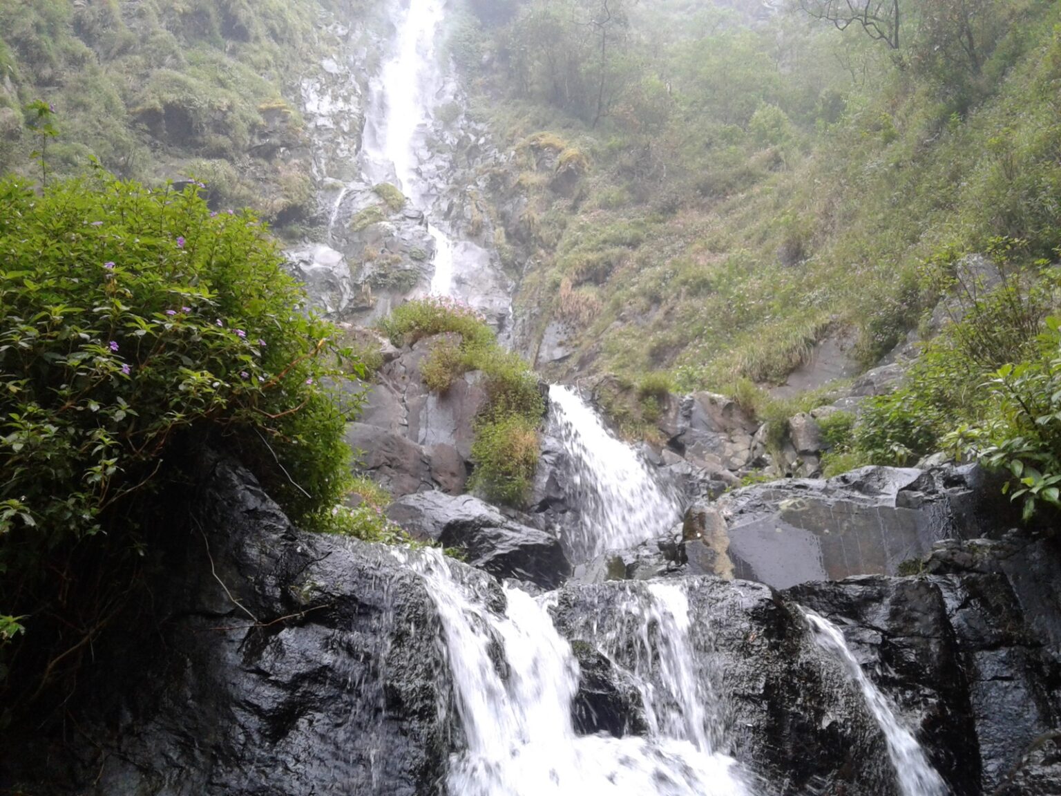 GUNUNG PUNTANG Tiket Masuk & Daya Tarik - Oktober 2025