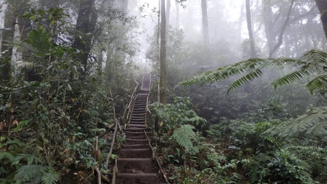 GUNUNG KENCANA Tiket Masuk dan Jalur Pendakian - Oktober 2025