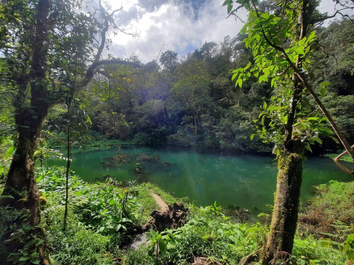 Gunung Gede Pangrango: 3 Pilihan Jalur Pendakian - Oktober 2025